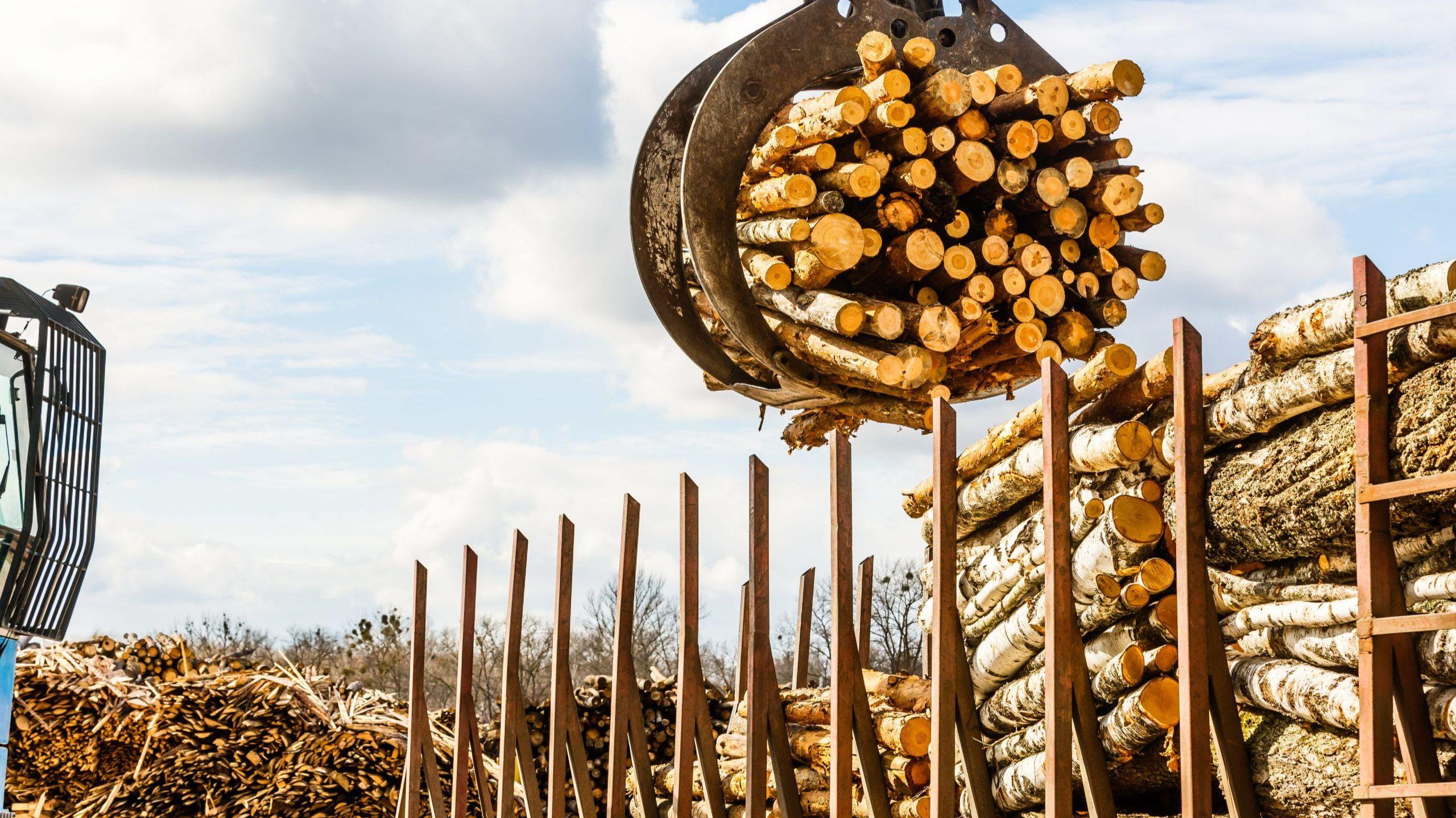 Wood Industry 2021-11-17 EN